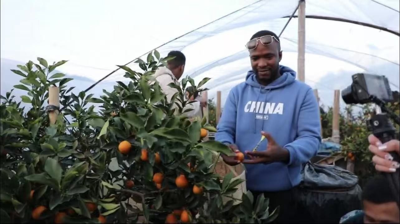 Empowering Local Communities: Leveraging China's Rural Revitalization ...